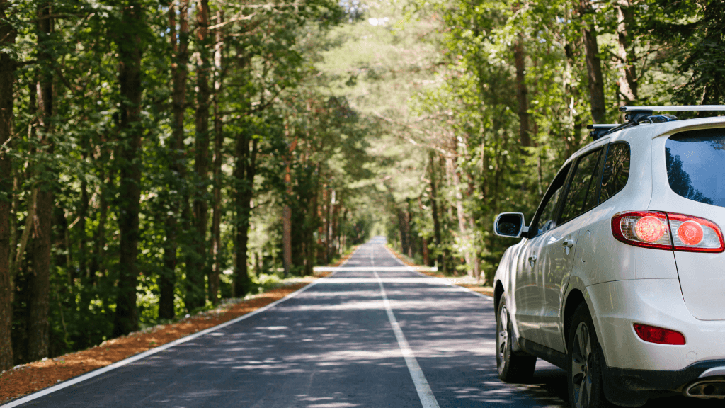 Can I cross into another country with a hire car?