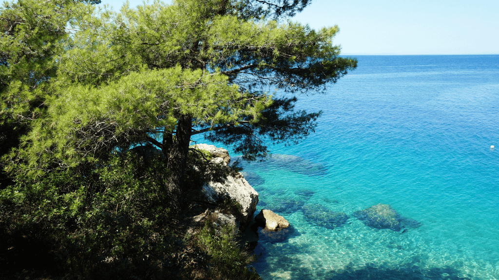 5 plages à ne pas manquer en Croatie | CarJet